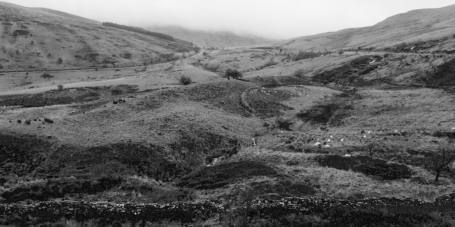 How the state of the path network is gatekeeping the Welsh countryside ...