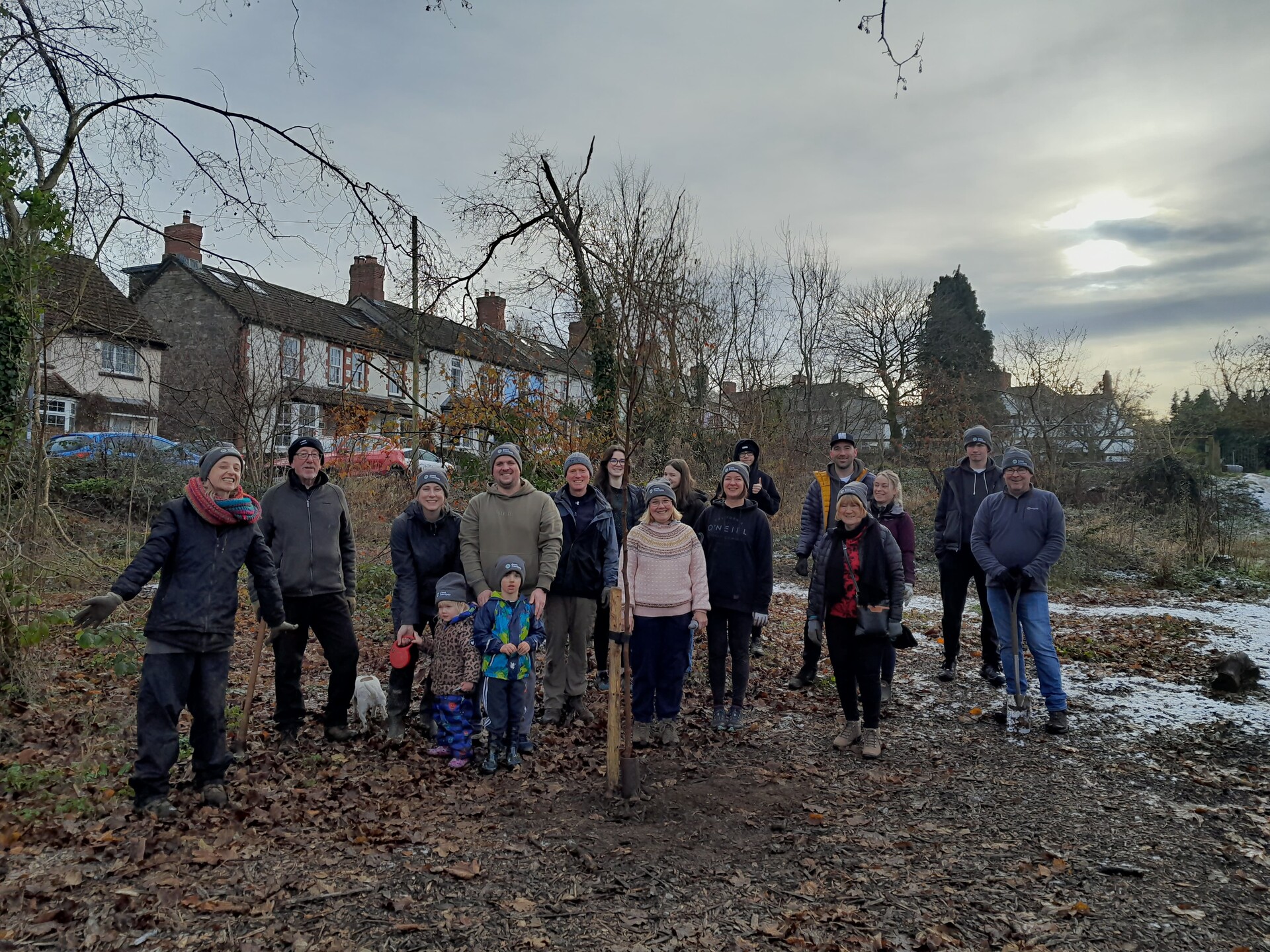 ‘Gabalfa’ trees return to Cardiff for first time in around a century