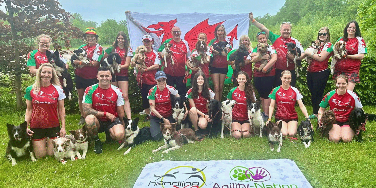 Record numbers attend Team Wales dog agility try-outs