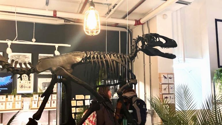 Cardiff's new dino-store sells everything dinosaur and a little bit more. - InterCardiff