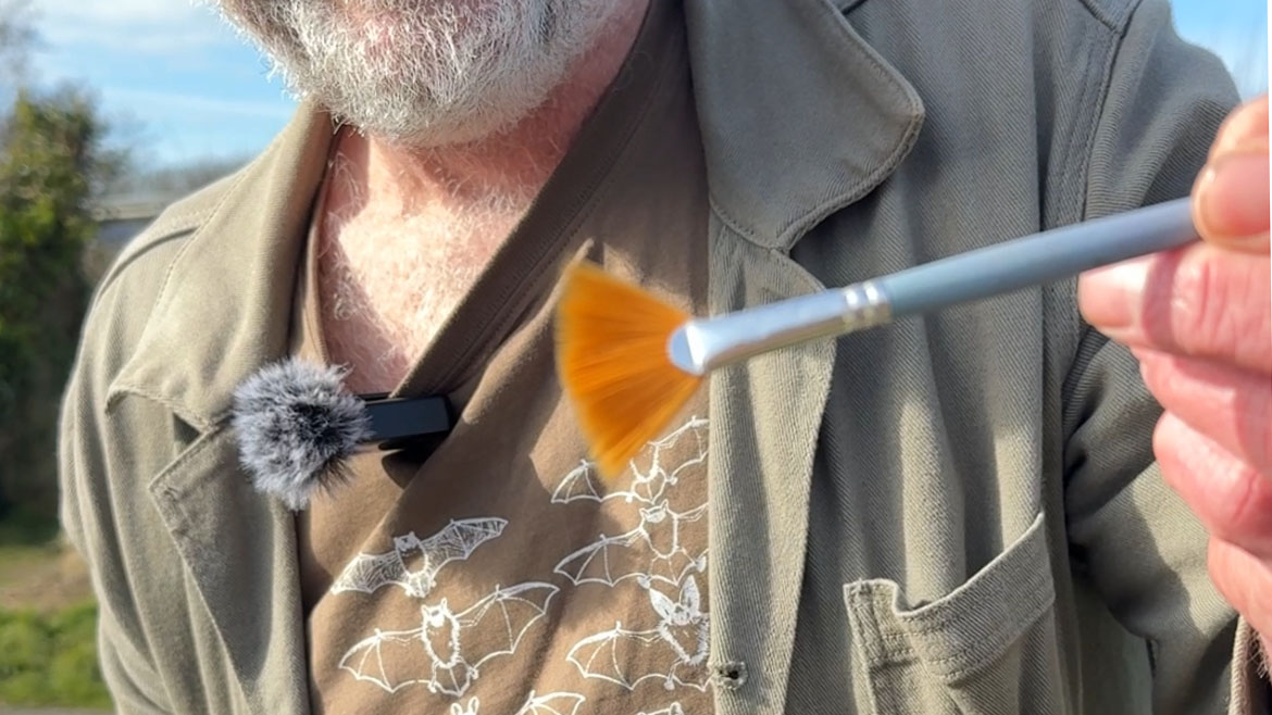 On the trail of the snail: Battle to save one of Wales's rarest ...