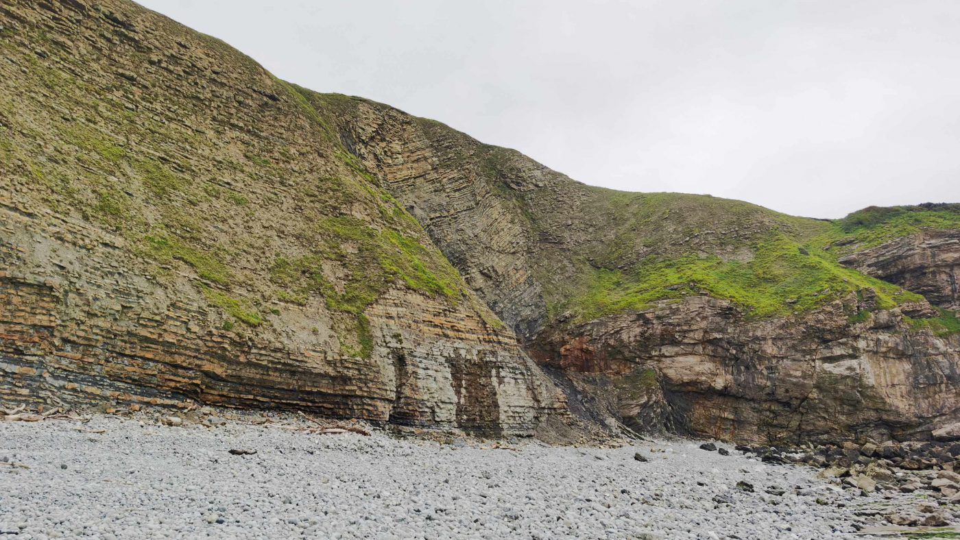 A fossil hunting trip in Wales: how to find your first fossil? - Life360