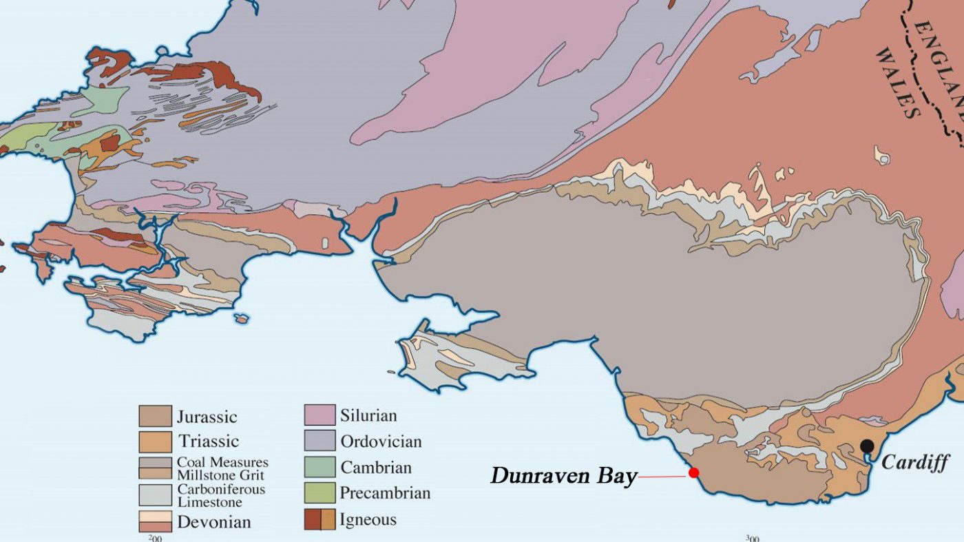 A fossil hunting trip in Wales: how to find your first fossil? - Life360