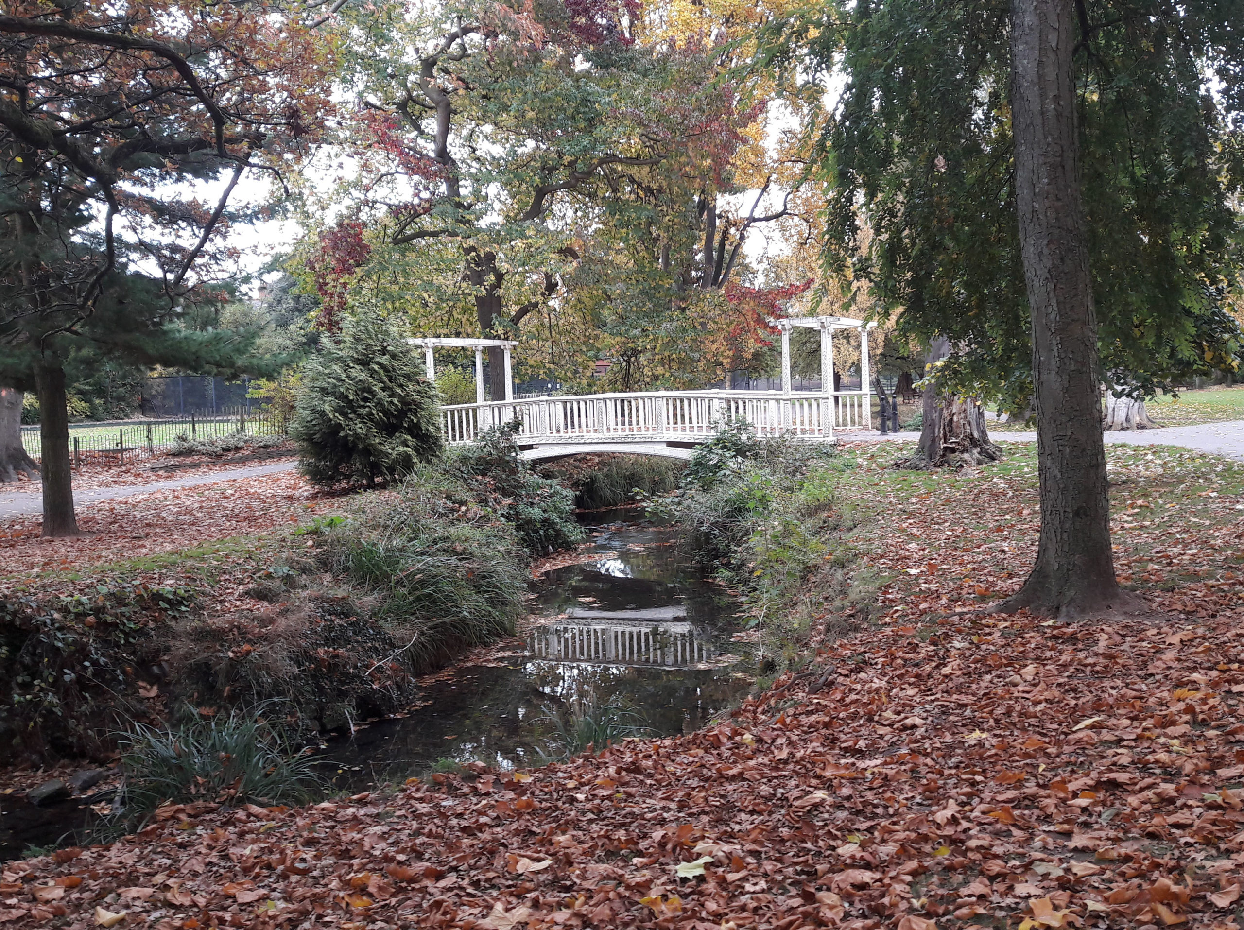Popular Cardiff park in running for national award - The Cardiffian