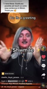 Meet the Welsh stars of TikTok who are loved by millions - The Cardiffian