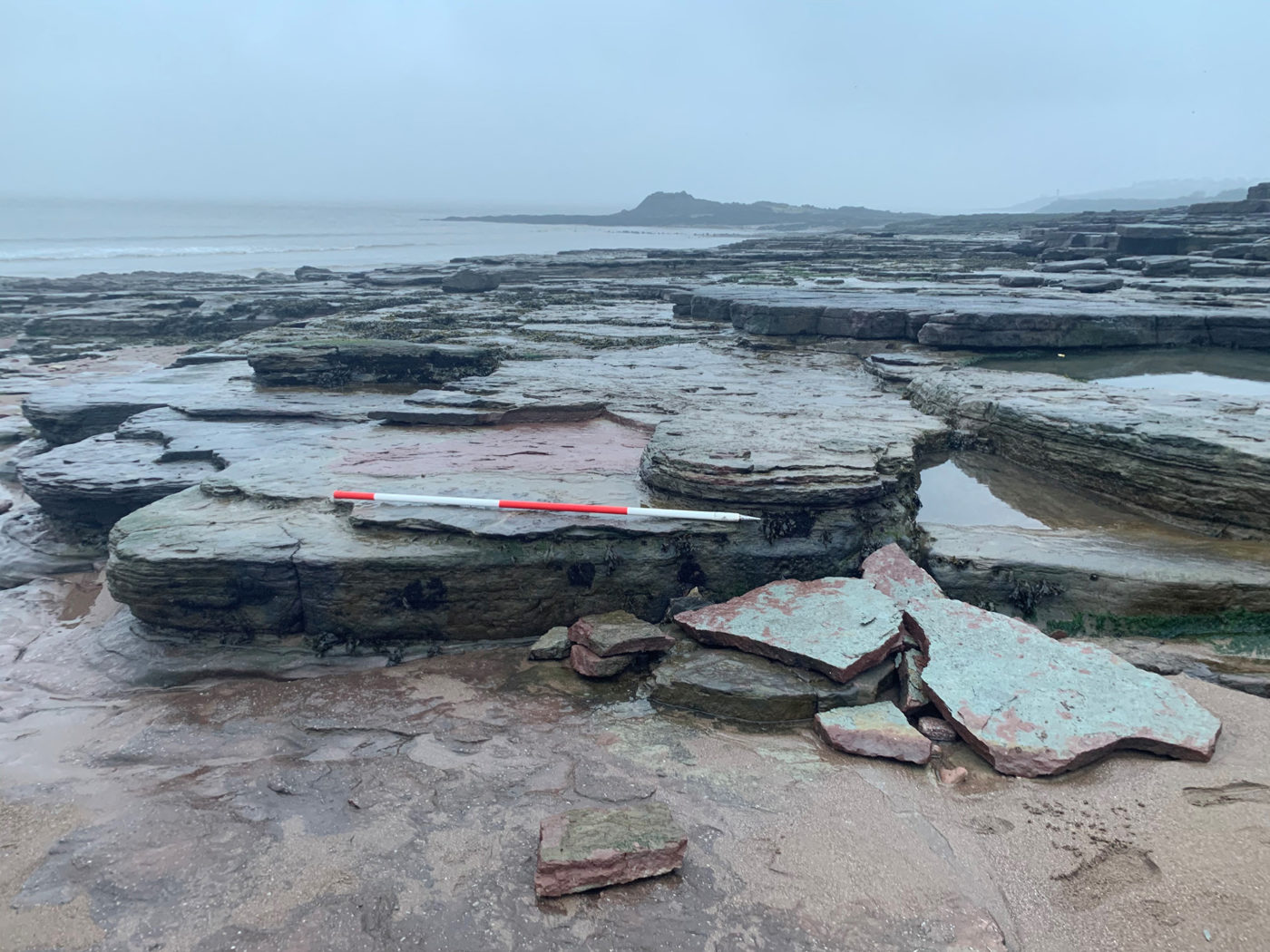 Dinosaur footprint site near Barry damaged by looters - The Cardiffian
