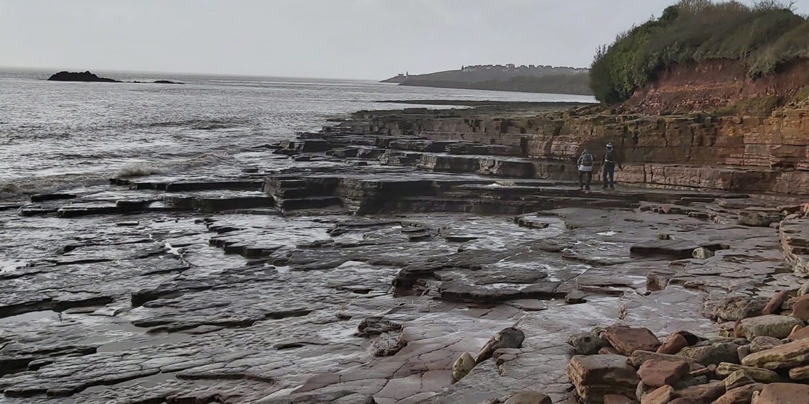 Dinosaur footprint site near Barry damaged by looters - The Cardiffian