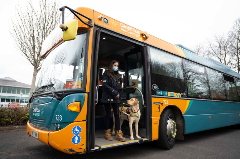 Cardiff Bus is helping train guide dogs during pandemic - The Cardiffian