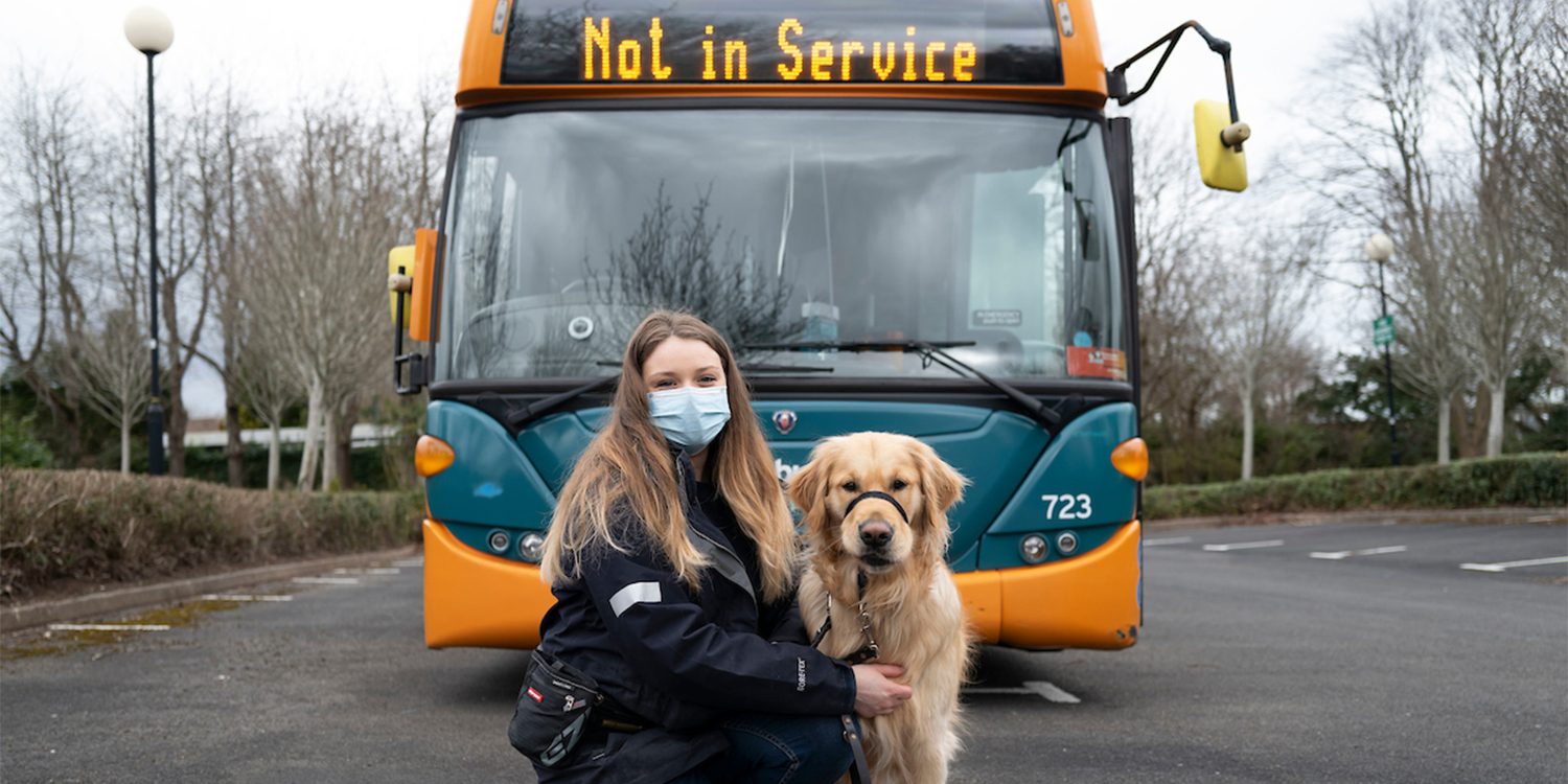 Cardiff Bus is helping train guide dogs during pandemic - The Cardiffian