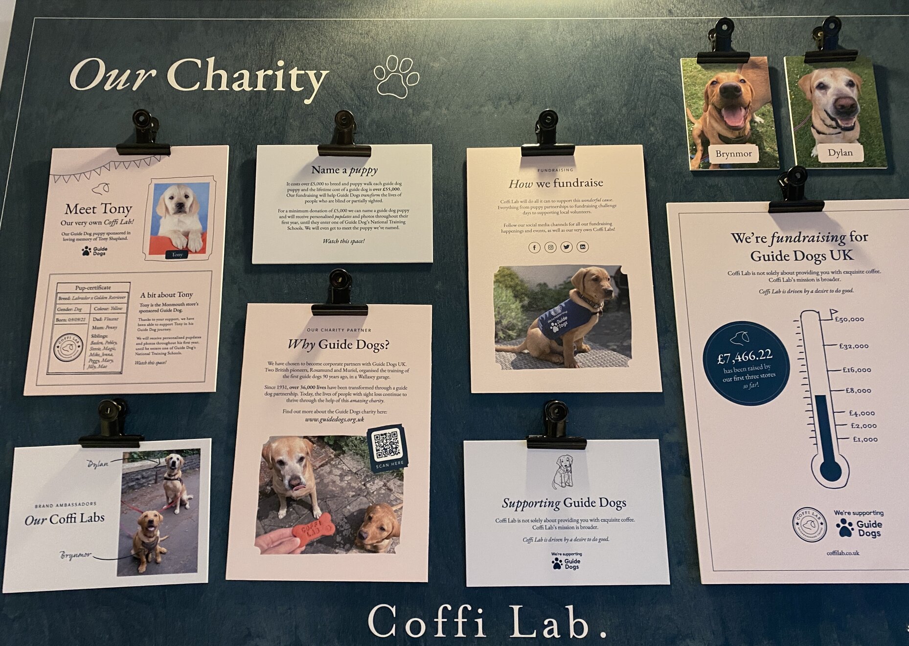 New Llandaff coffee shop raises over £2,000 for Guide Dogs - The Cardiffian