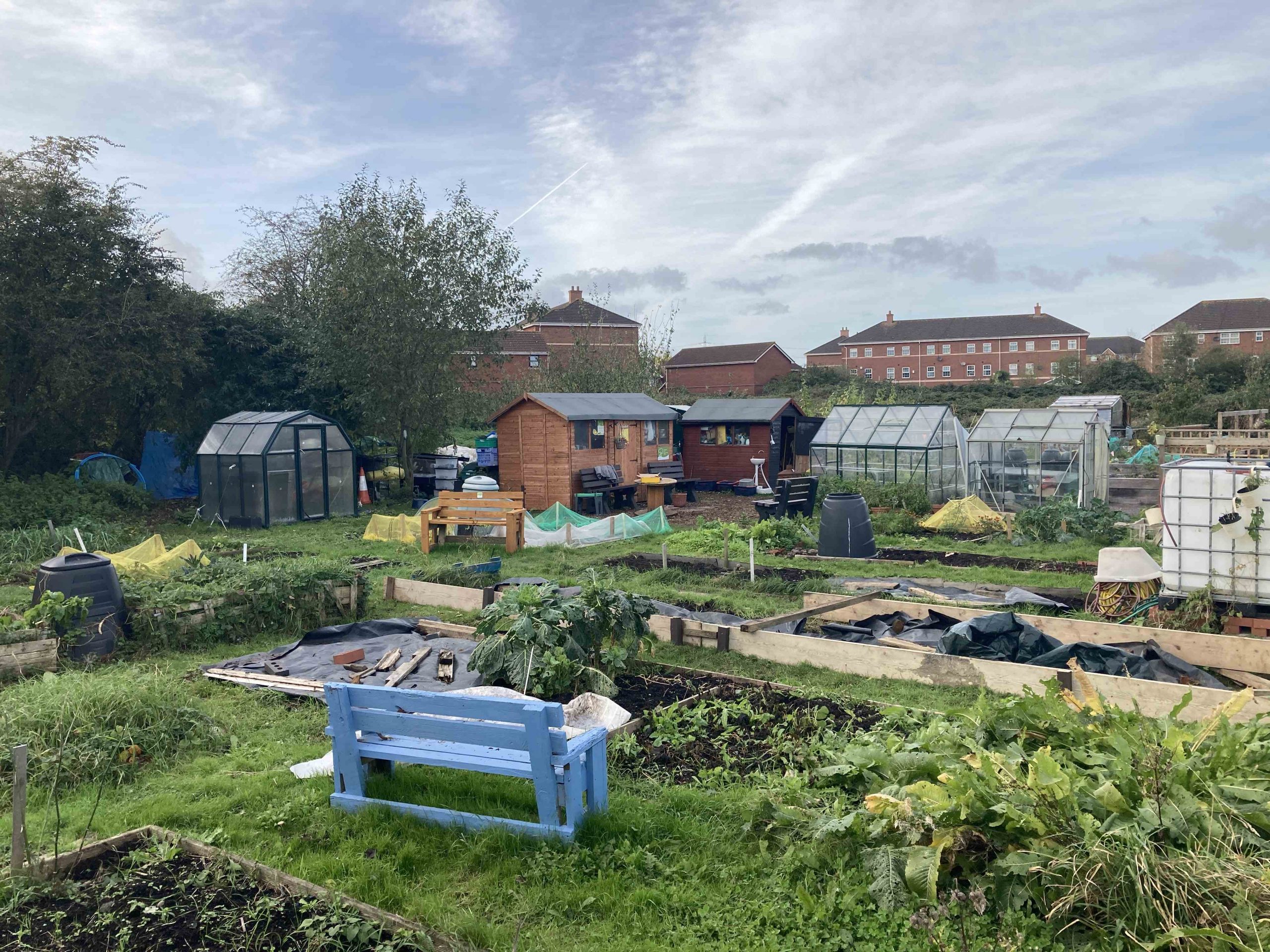 Splott community allotment wins Green Flag award - The Cardiffian