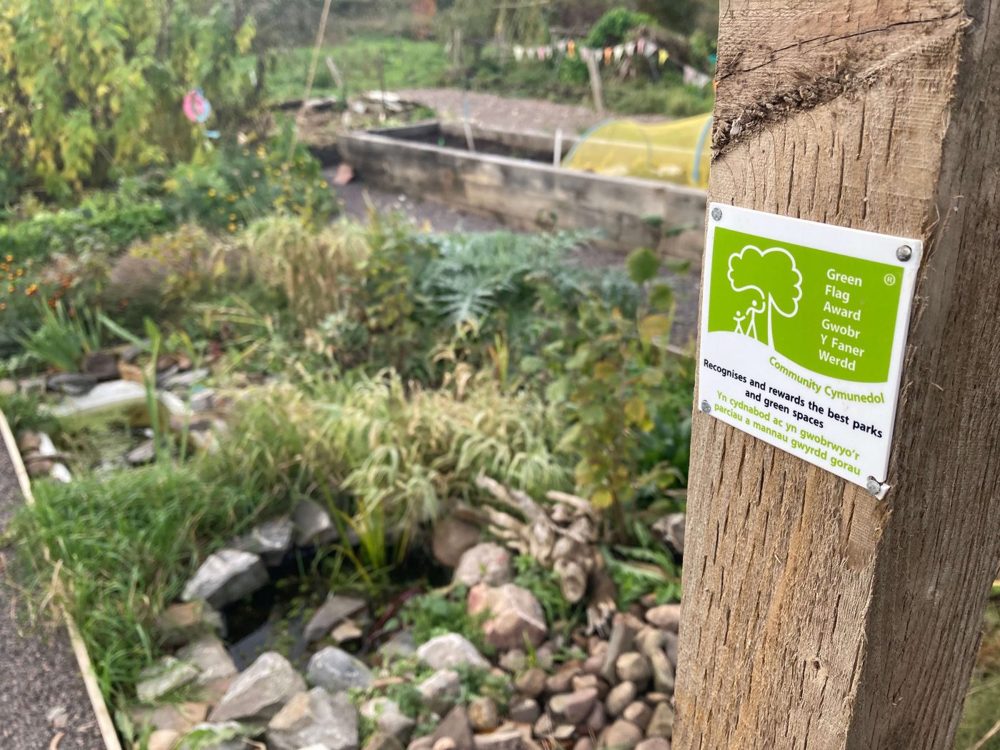 Splott community allotment wins Green Flag award - The Cardiffian
