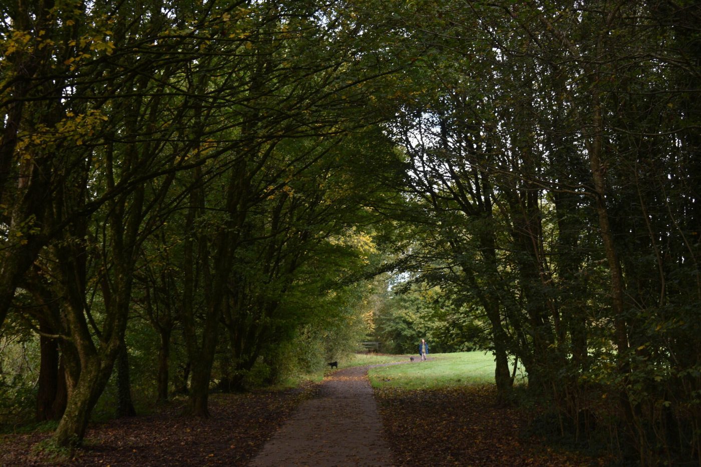 Proposed sewage pumping in Hailey Park causes concern - The Cardiffian
