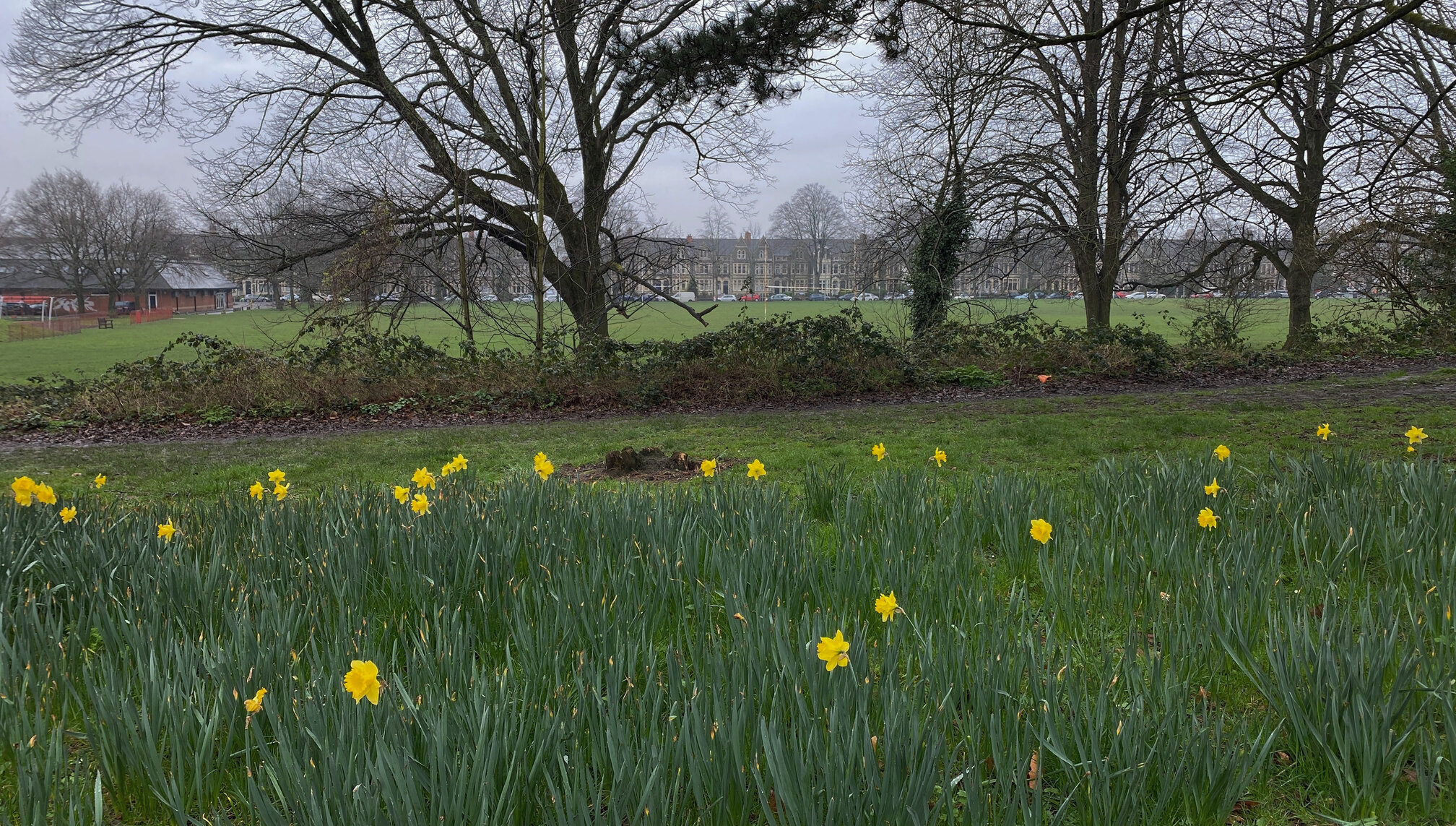Residents split on new Roath Rec cycle path - The Cardiffian