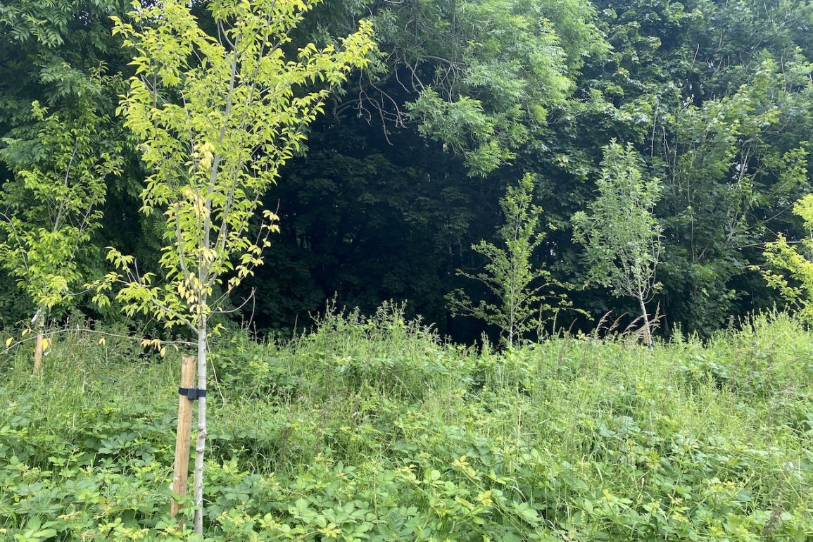 "Military are hiding the facts about Pentyrch UFO sighting," says ...