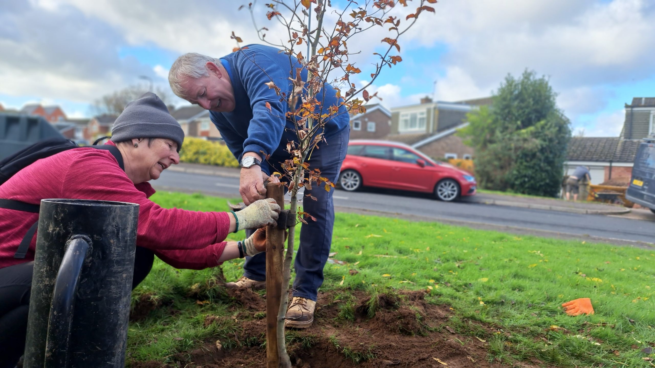 First trees planted in Danescourt under scheme to make Cardiff greener ...