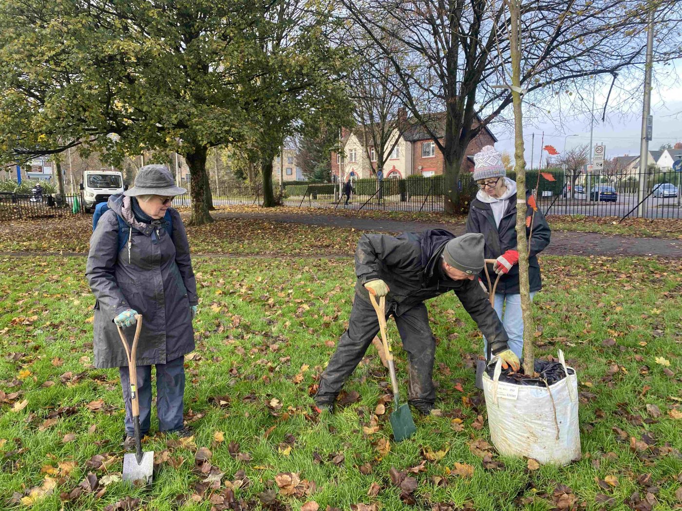 Tree planting unites community in unexpected ways - The Cardiffian