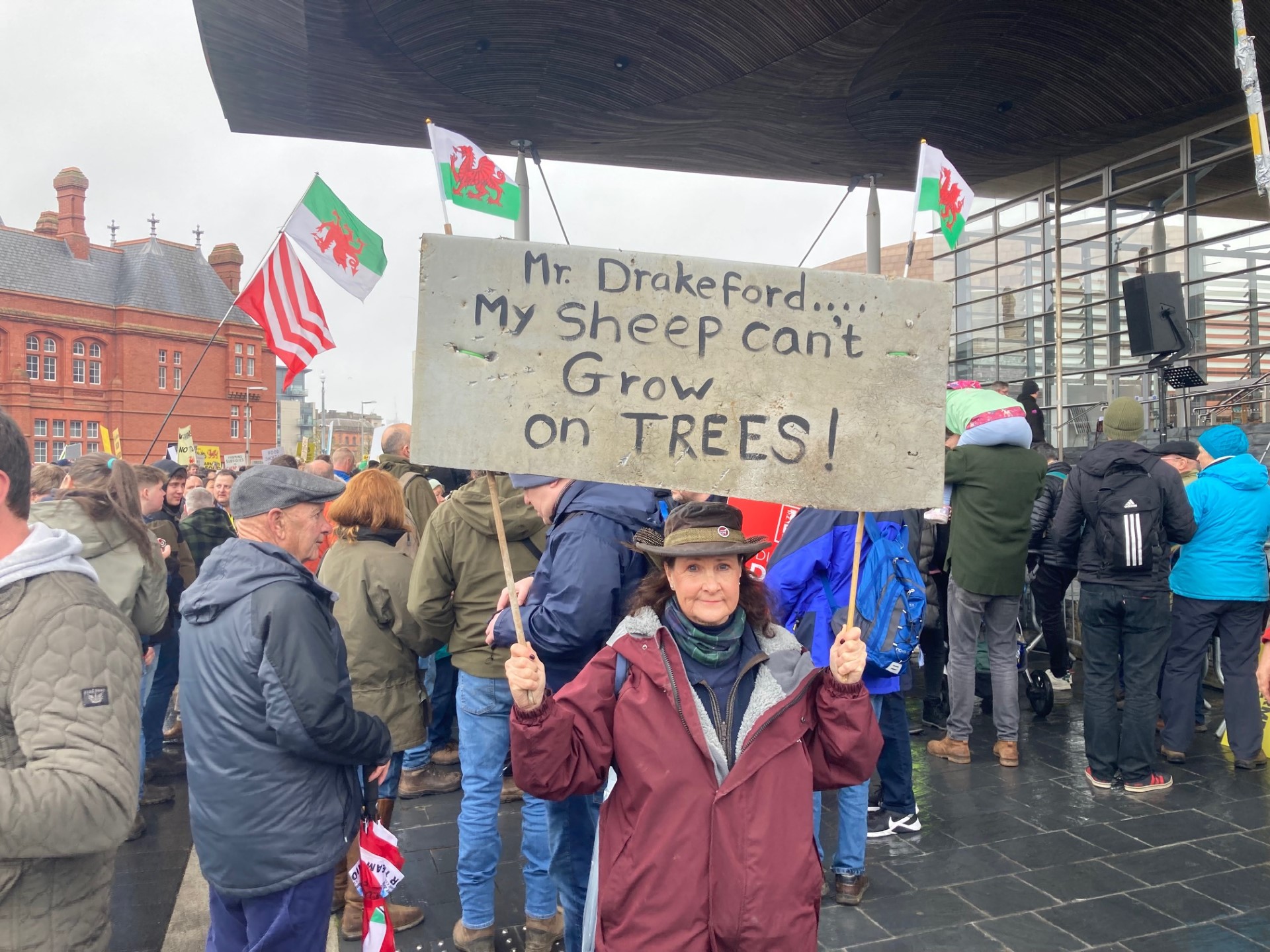 Sustainable Farming Scheme: What you need to know - The Cardiffian