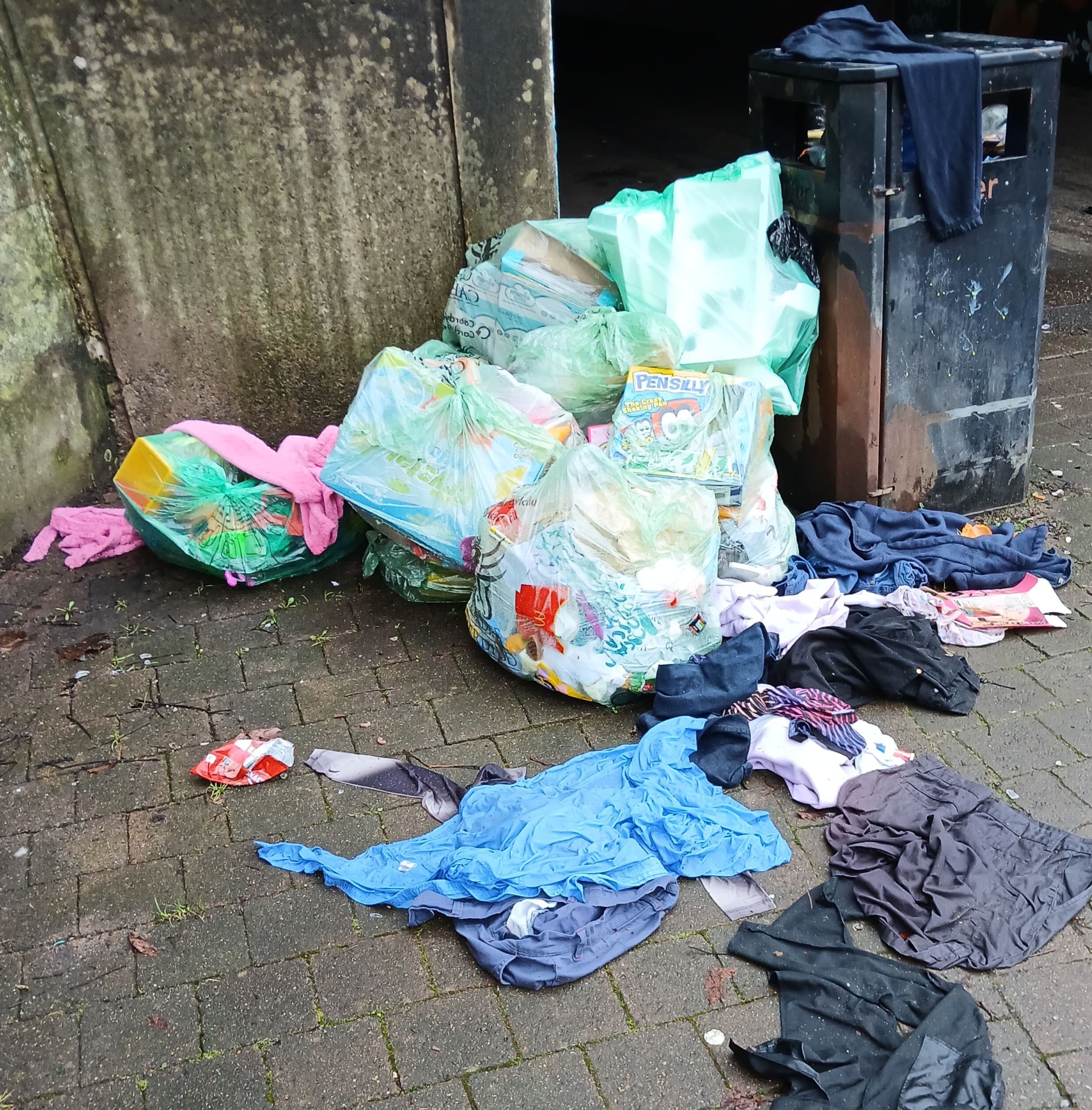 'It seems like it's getting worse': Gabalfa residents on 'shocking' fly ...