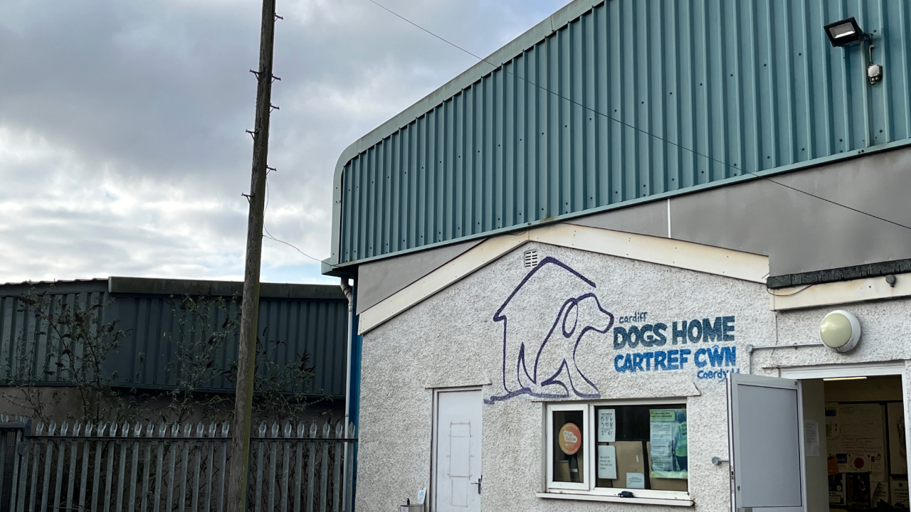 New kennels will bring relief to dogs home working to keep pets off the ...