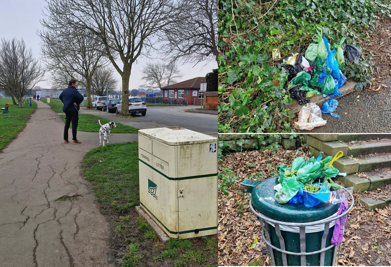 Penarth’s dog walkers and litter-pickers frustrated as bins are removed ...