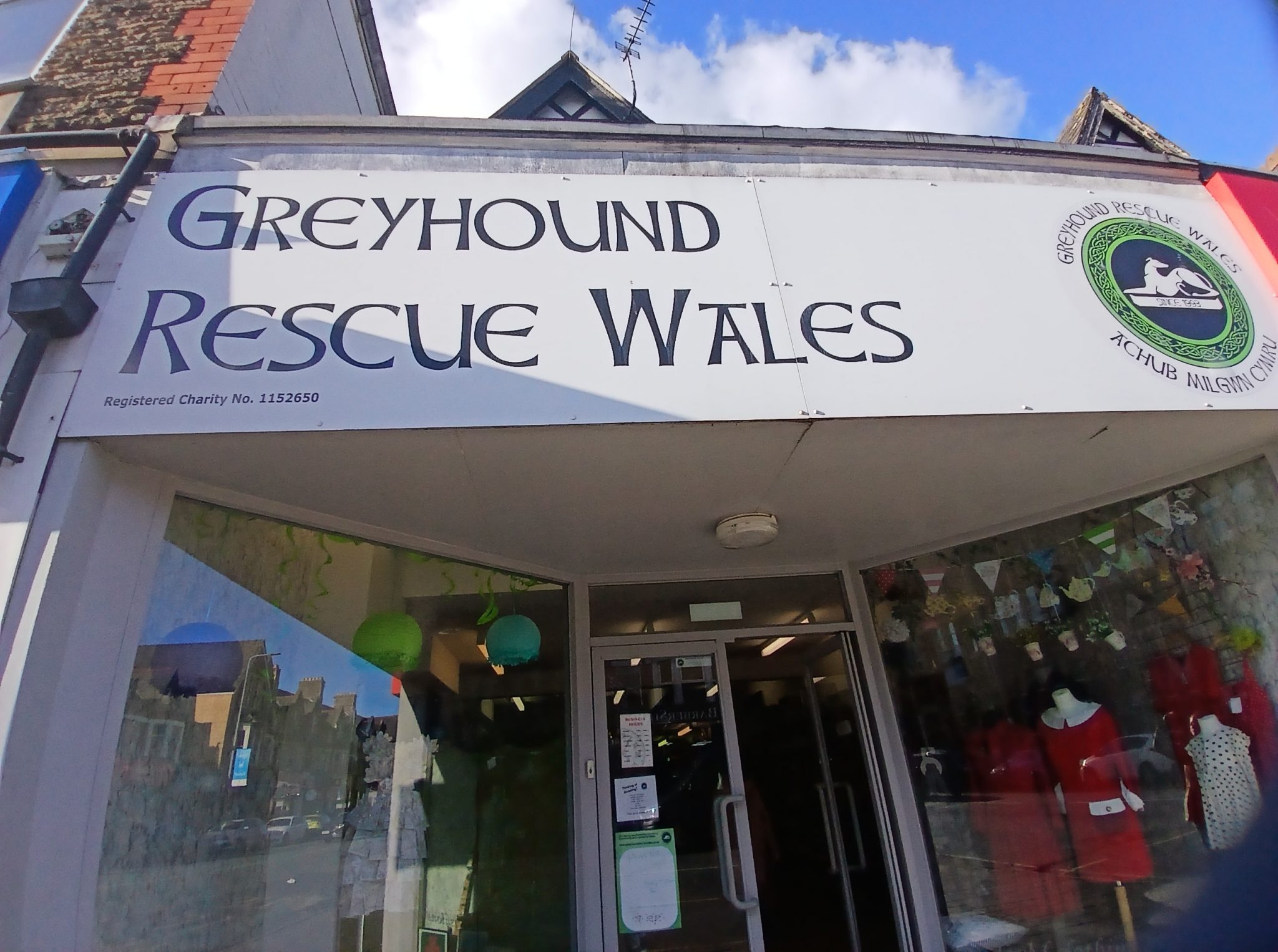 Greyhound racing will be banned in Wales, but what happens to dogs when ...