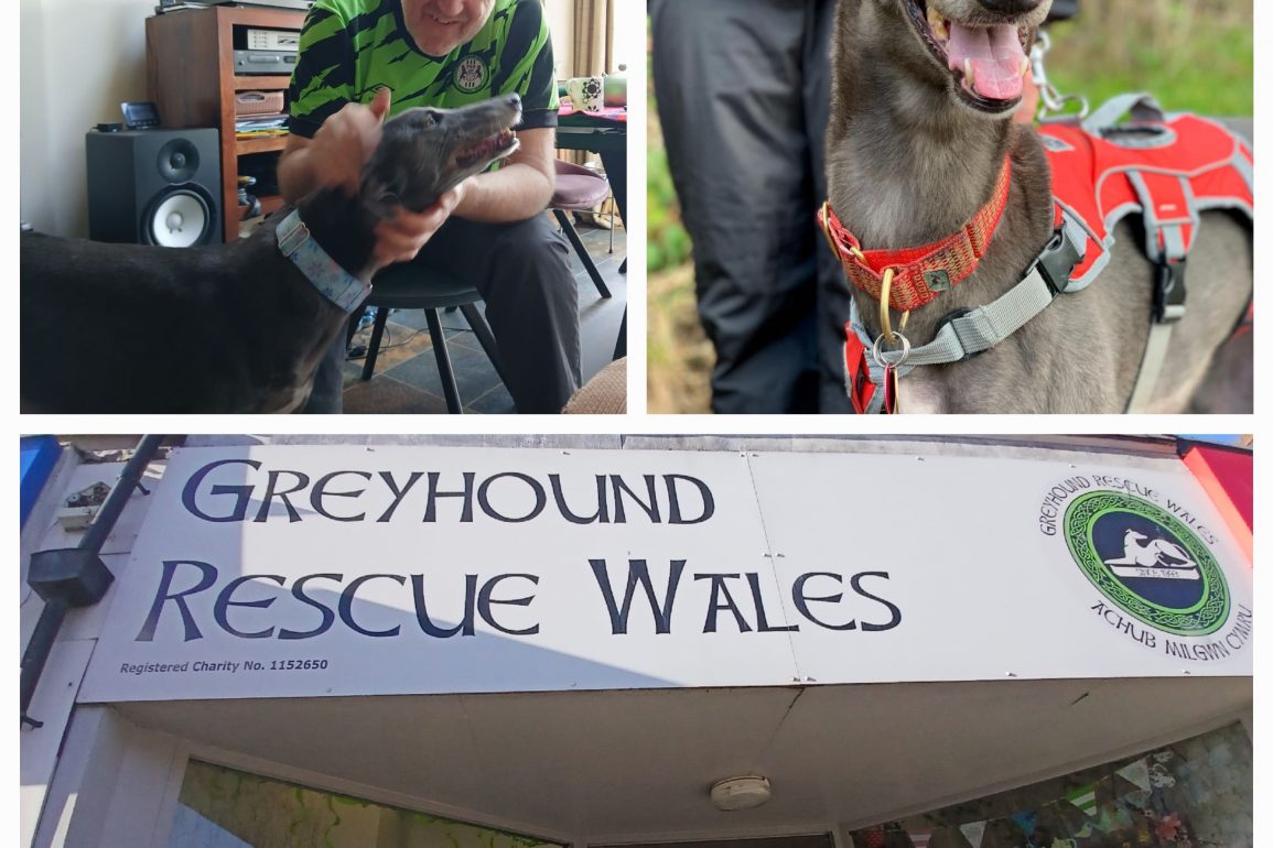 VISION 21: The social enterprise helping people with learning ...